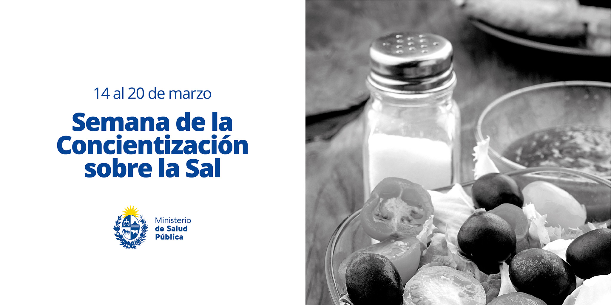 Semana Mundial De Sensibilización Sobre La Sal Msp 